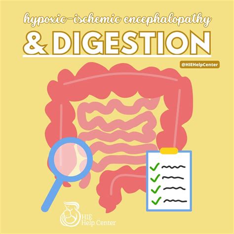 Signs Symptoms Of Hypoxic Ischemic Encephalopathy Hie Artofit