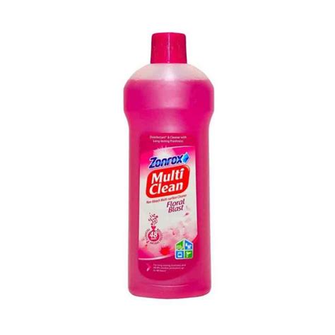 Zonrox Multi Clean Floral Blast 450ml Shopee Philippines