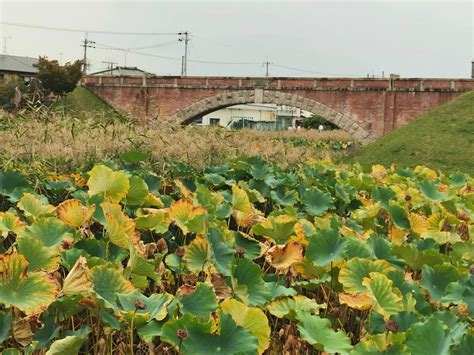 Hiraki Bridge In Kakogawa Hyogo Prefecture Ask Anything