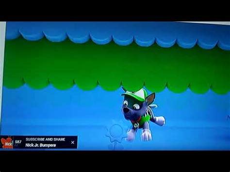 Nick Jr Bumpers Paw Patrol Next Heading Your Way And More Youtube