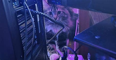 You Arent Paying Attention To Me I Turn Off Your Computer Album On Imgur