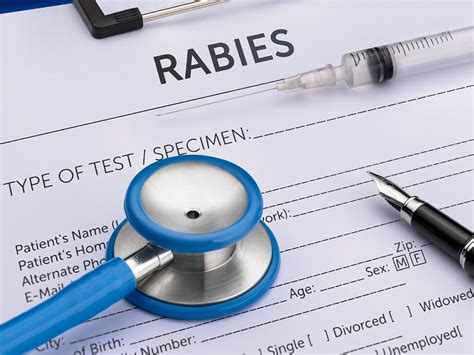 Rabies Symptoms Causes Diagnosis And Treatment