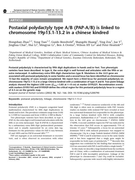 Postaxial Polydactyly Type Ab Pap Ab Is Linked To Chromosome 19p13