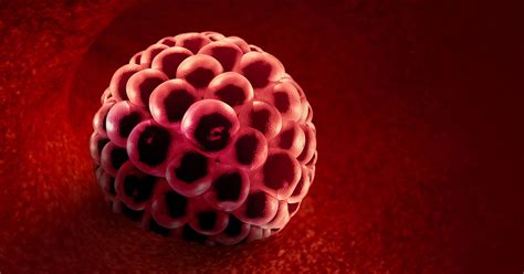 Implantation Bleeding Or Ovulation Spotting