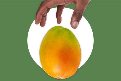 Mango Tv The Best Mango Related Content To See The Warsi Farm