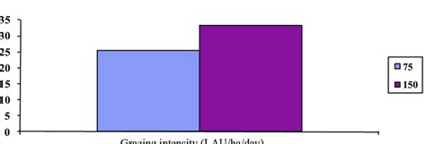 Resting Days Of The Grass Brachiaria Decumbens Vc Basilisk According