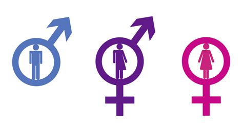 Diversity Frame Philosophics