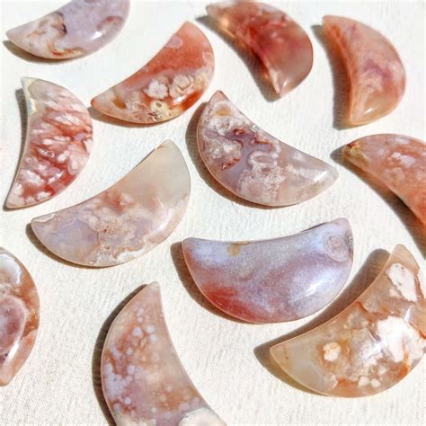 אבן שטוחה אגת פרח פנגאה