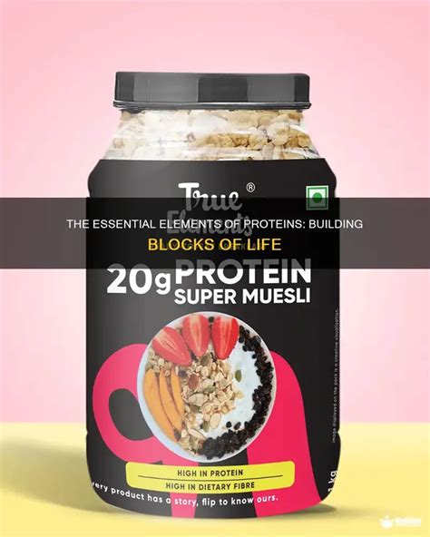 The Essential Elements Of Proteins Building Blocks Of Life Medshun
