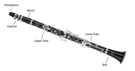 How To Assemble A Clarinet Basic Info And Advice