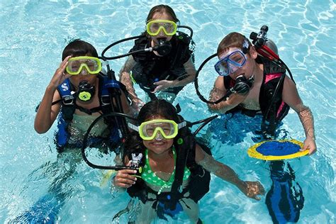 Diveworld Explore Learn Dive — Join Now