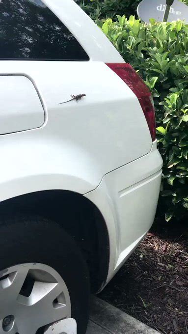 Tw Pornstars Holi Hurricane Videos From Twitter Page 2