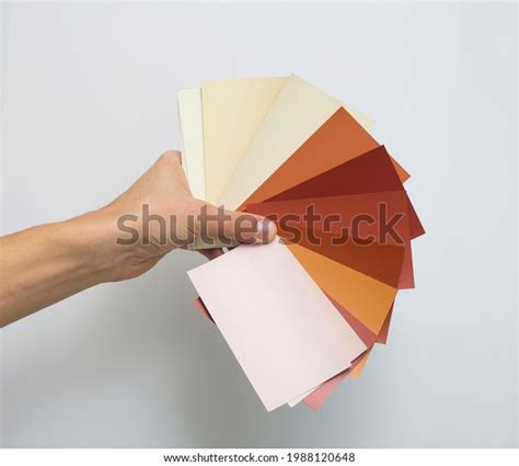 Color Shade Card Stock Photos Images Photography Shutterstock