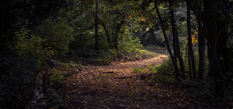 Viathon | Behance