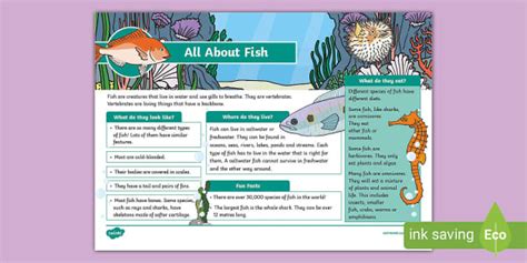 Fish Fact File Science Ks1 Animals Teacher Made Worksheets