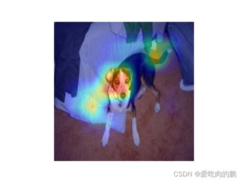 分类卷积网络的可视化附代码 阿里云开发者社区