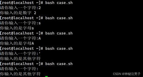 Shell编程学习路线 ——shell脚本中case语句多分支选择详解shell编程 Case Csdn博客