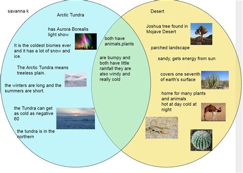 Venn Diagram Ecology