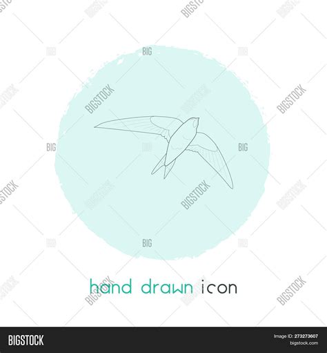 Swift Icon Line Image Photo Free Trial Bigstock