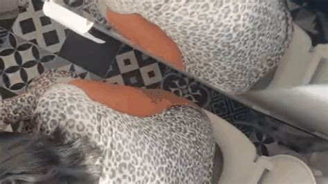 Nas Fly On The Wall Overhead Gps Ladies Keeping It Funky 3 Point