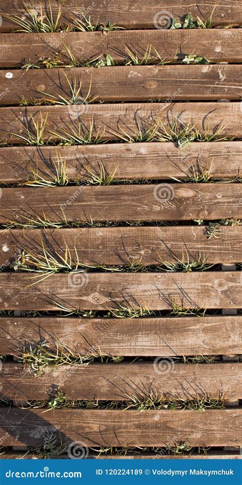 Wooden Bridge On The Green Grass Low Bridges A Path Among The Grass