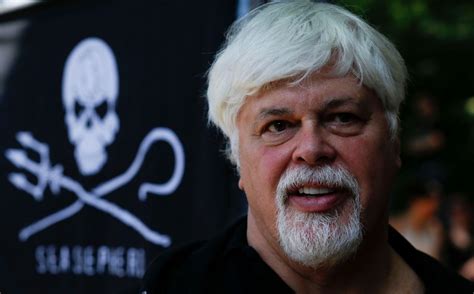 Sea Shepherd Founder Paul Watson Remains Detained As Japan Extradition Considered