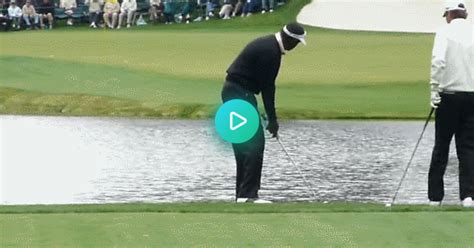 Vijay Singh Skips A Ball Off The Pond And Makes A Hole In One  On