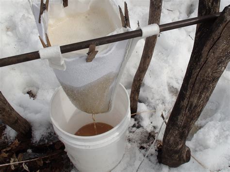 Maple Syrup Vacuum Filter System At Mia Fortune Blog