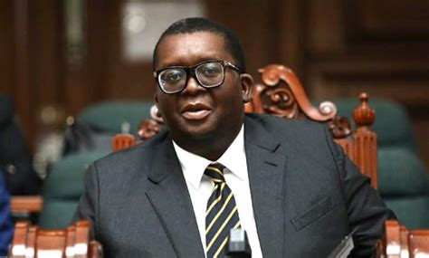 Kzn Premier Ntuli Blocks Cogta Mecs Ulundi Move The Witness