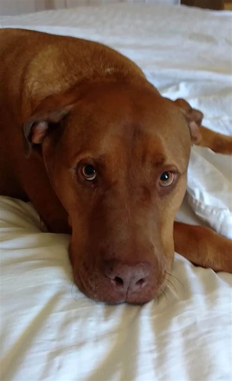 Picture Of Agnes Scrolller