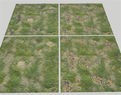 Grassy Ground Pbr Texture Cgtrader