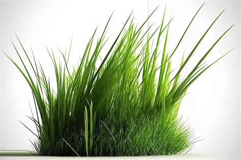 Premium Photo Green Grass Isolated On A White Backdrop