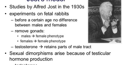 Exams And Me Jost Model