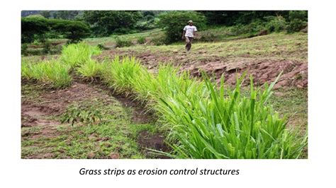 Solution Reduced Overgrazing And Rangeland Rehabilitation