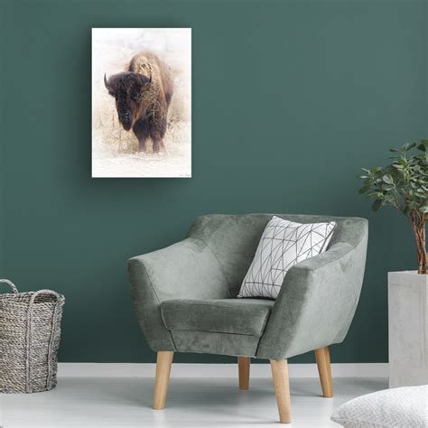 Trademark Fine Art Standing Buffalo Ii By David Drost Print On Canvas Wayfair