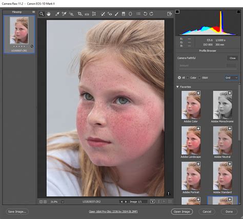 Adobe Color Profile Is Missing Adobe Community