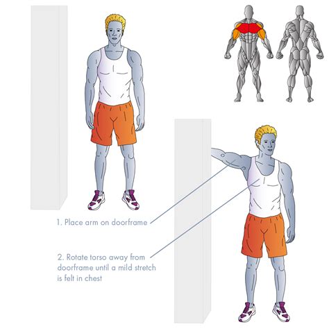Pectoral Stretch The Doorway Stretch Enhancing Shoulder Mobility And
