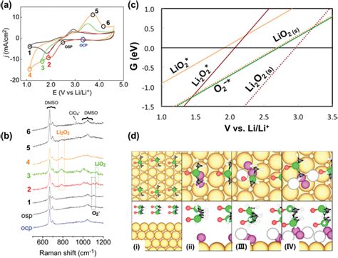 A Cyclic Voltammetry Profiles Of An Au Electrode In 01 M Tbaclo4‐dmso