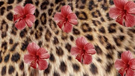 Cute Desktop Pictures Leopard Wallpaper Macbook Cheetah Print