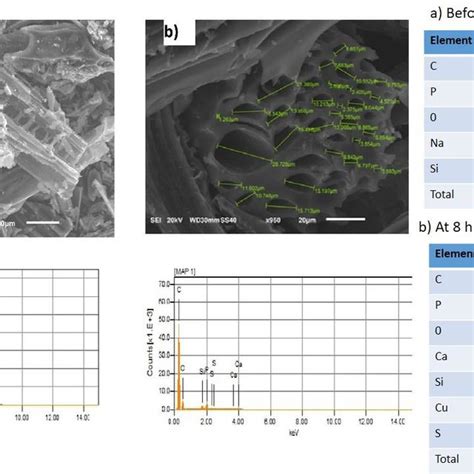 Synthesis Of Activated Carbon From Sugarcane Bagasse Download Scientific Diagram