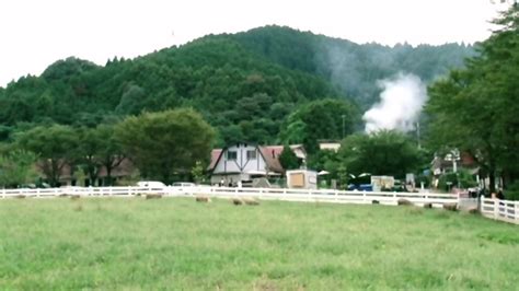 I Tried To Train A 21 Year Old Part Time Student Like An Animal On An