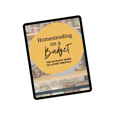 Freeze Drying Vs Dehydrating Whats The Difference Hummingbird Acres