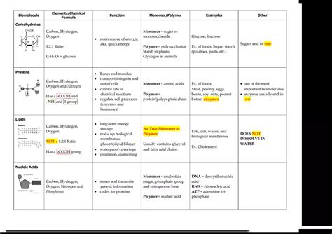 Biomolecules Chart Cheat Sheet Edubirdie