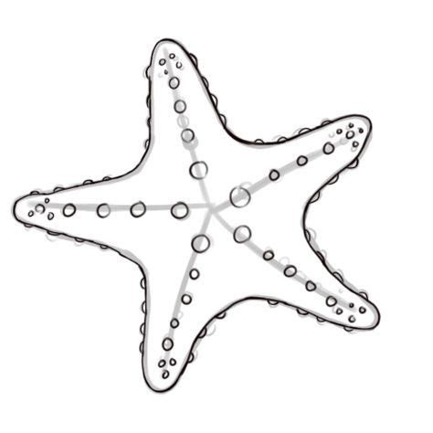 How to Draw a Starfish Step by Step Tutorial With Pictures Морская