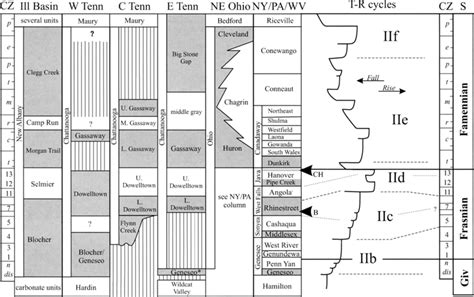 Devonian Conodont Microfossil Collection 30 Species New Albany Beechwood Indiana Fossils