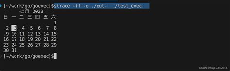 linux下输出带背景颜色和字体颜色的文本 linux红框白字 csdn博客
