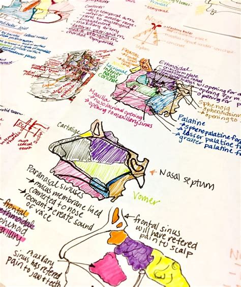 Medicine Is Cool On Tumblr