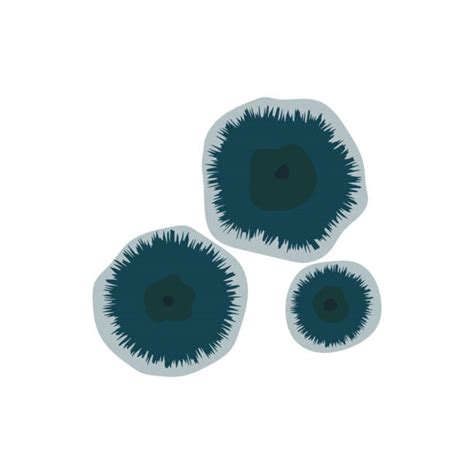 30개 이상의 푸른곰팡이 스톡 일러스트 Royalty Free 벡터 그래픽 및 클립 아트 Istock