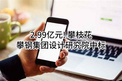 299亿元 攀枝花攀钢集团设计研究院有限公司中标