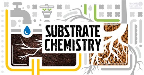 Understanding Substrate Chemistry In Hydroponics Leads To Better Grows